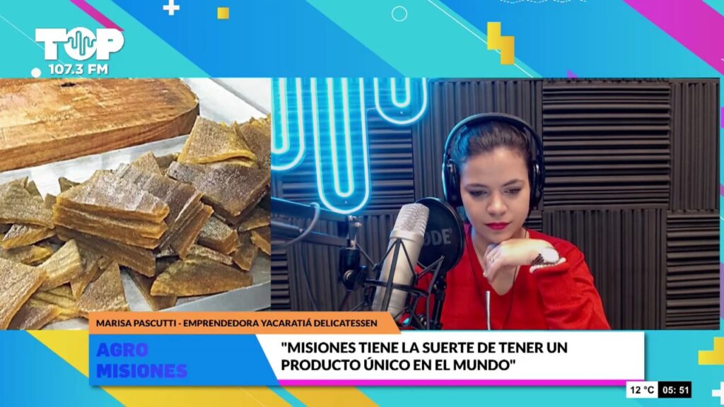 Yacaratia: una madera misionera, comestible, única en el mundo - Canal ...