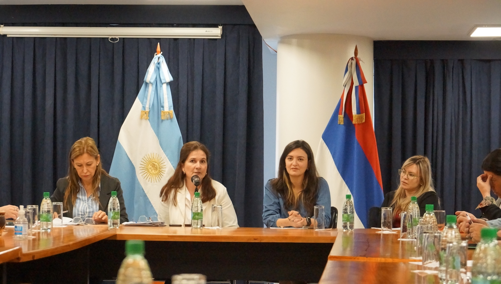 Legislatura | Misiones impulsa el Plan Estratégico de Movilidad ...