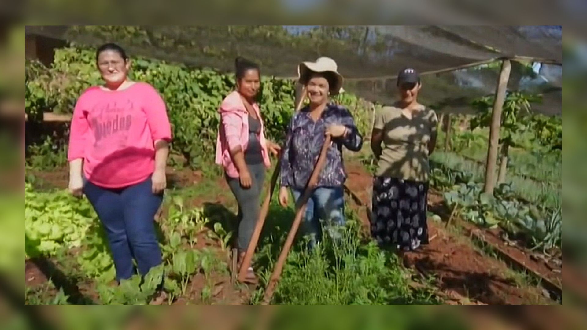 Mujeres rurales de Puerto Rico producen alimentos orgánicos y ...