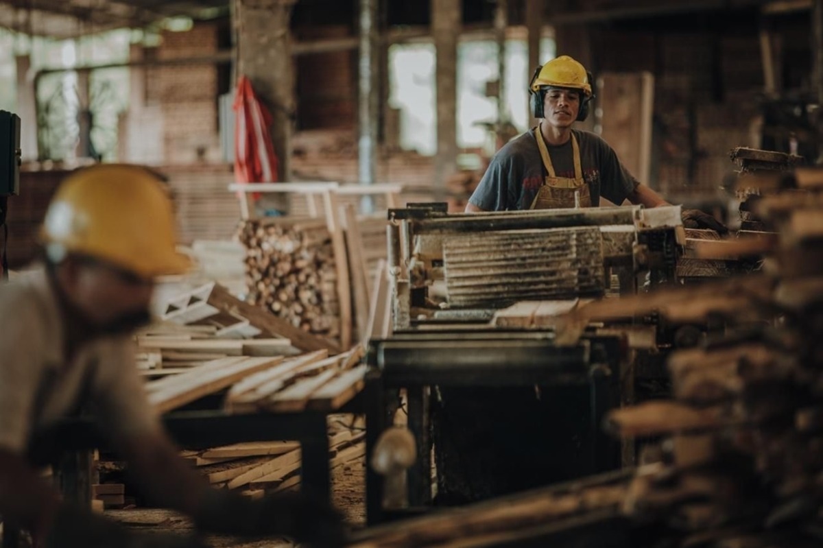 Cuidar la madera para crecer y exportar - Canal Doce Misiones