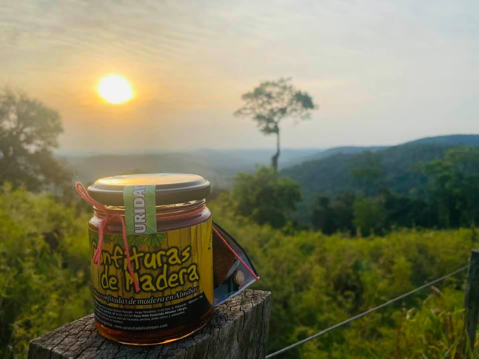Yacaratiá, la madera comestible que potencia la gastronomía y el ...