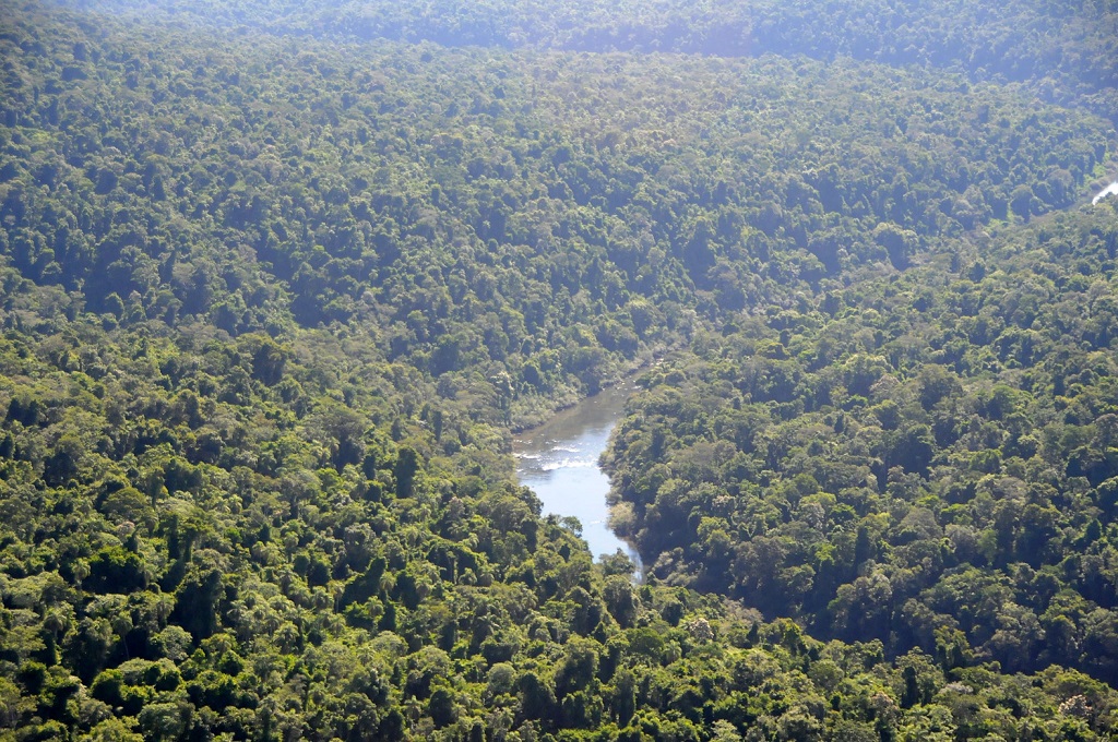 La tierra colorada es la segunda en sancionar la ley de ODS: un plan ...