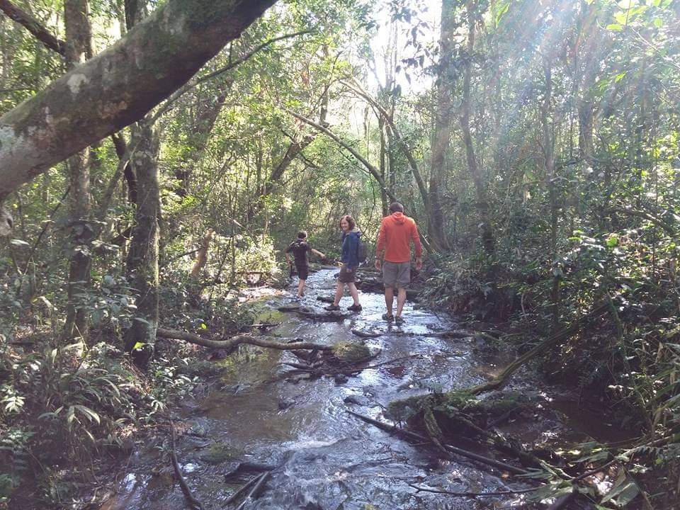 Un atractivo turístico que se proyecta como refugio para la vida ...