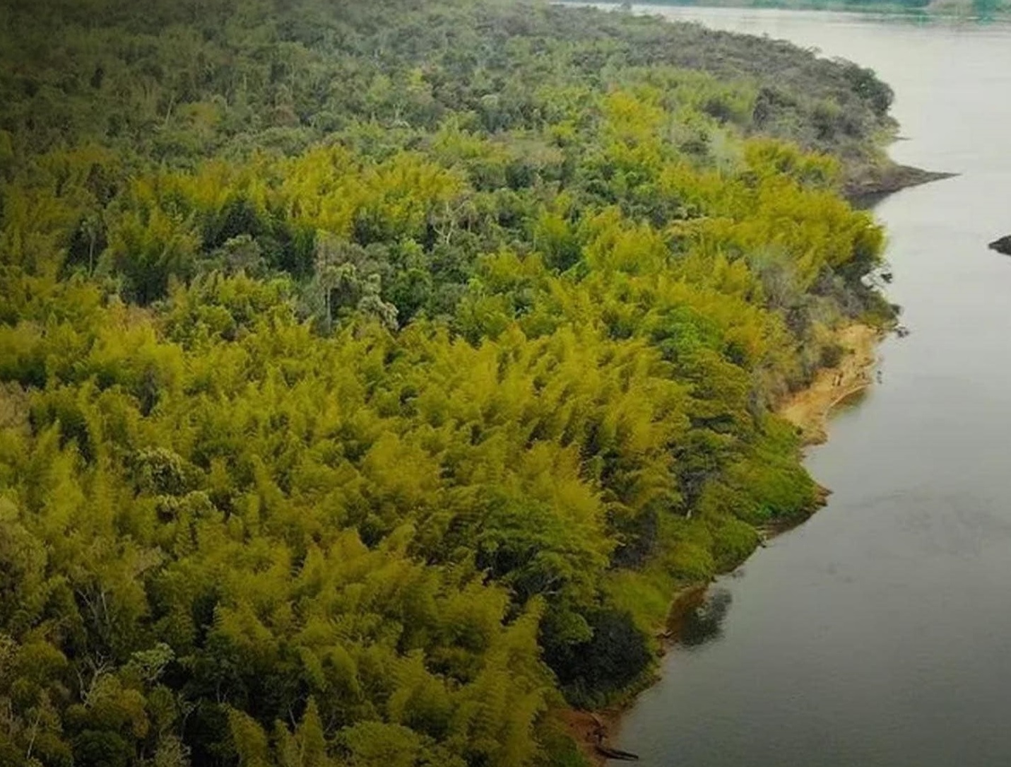 Monte Seguín, la reserva recuperada para impulsar el turismo en Puerto ...