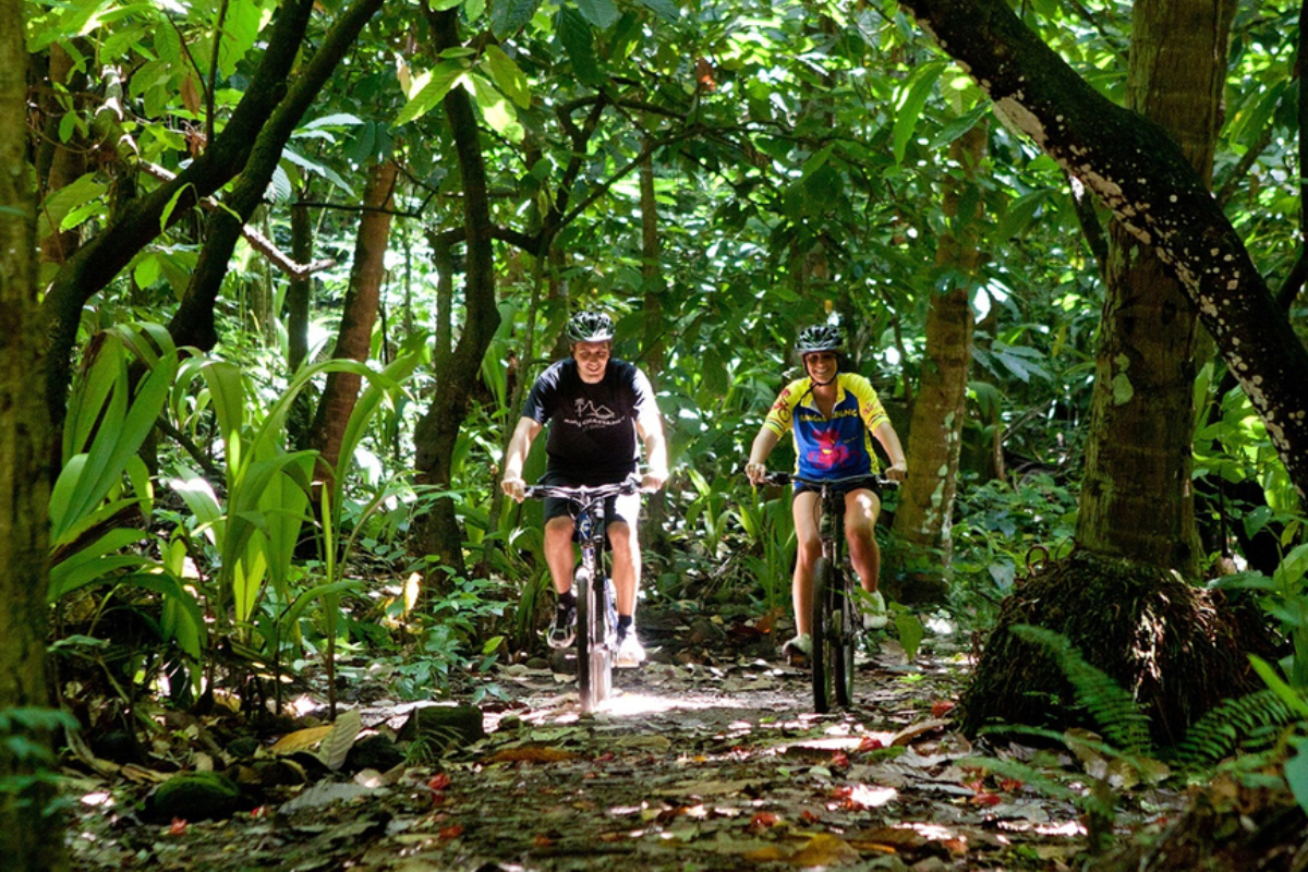 Presentan los avances del Plan Estratégico de Turismo Sustentable ...