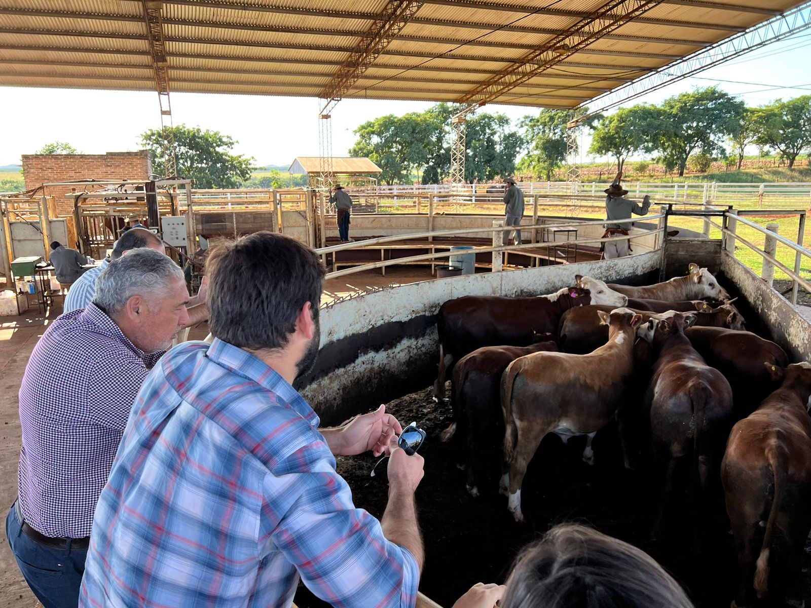 La actividad ganadera se desarrolla sobre 650 mil hectáreas de la ...