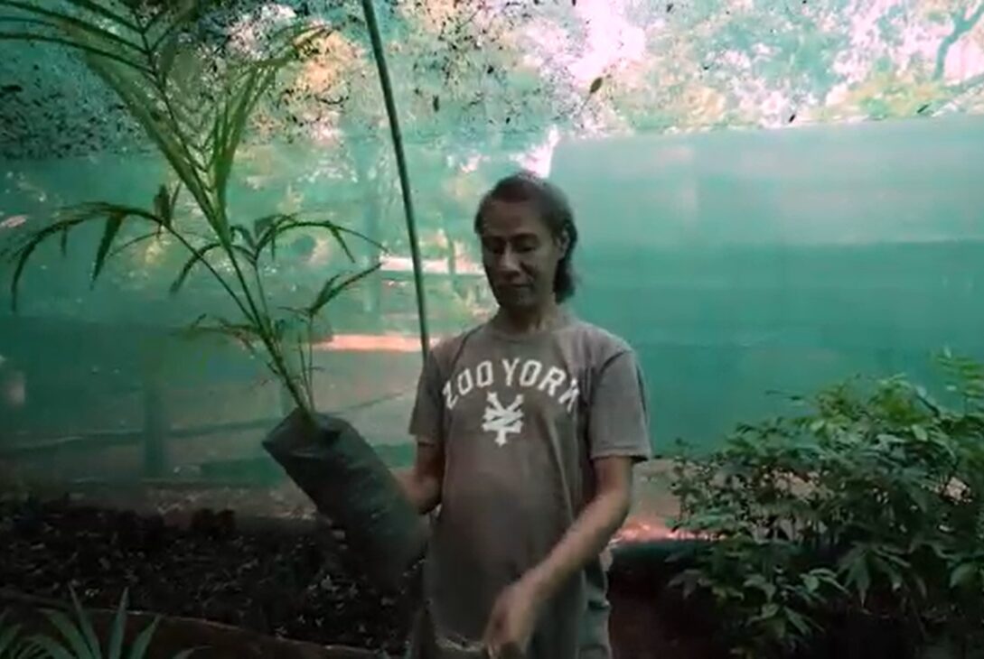 Protección del monte nativo y turismo conviven dentro de Jasy Porá ...