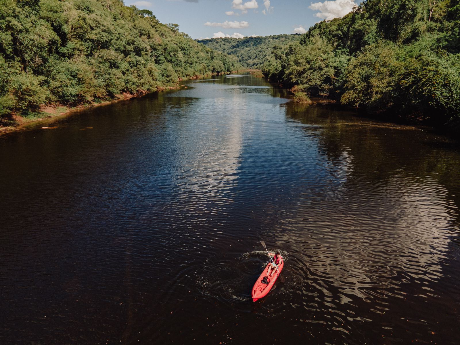 Con 102 reservas naturales, Misiones protege la biodiversidad y los ...
