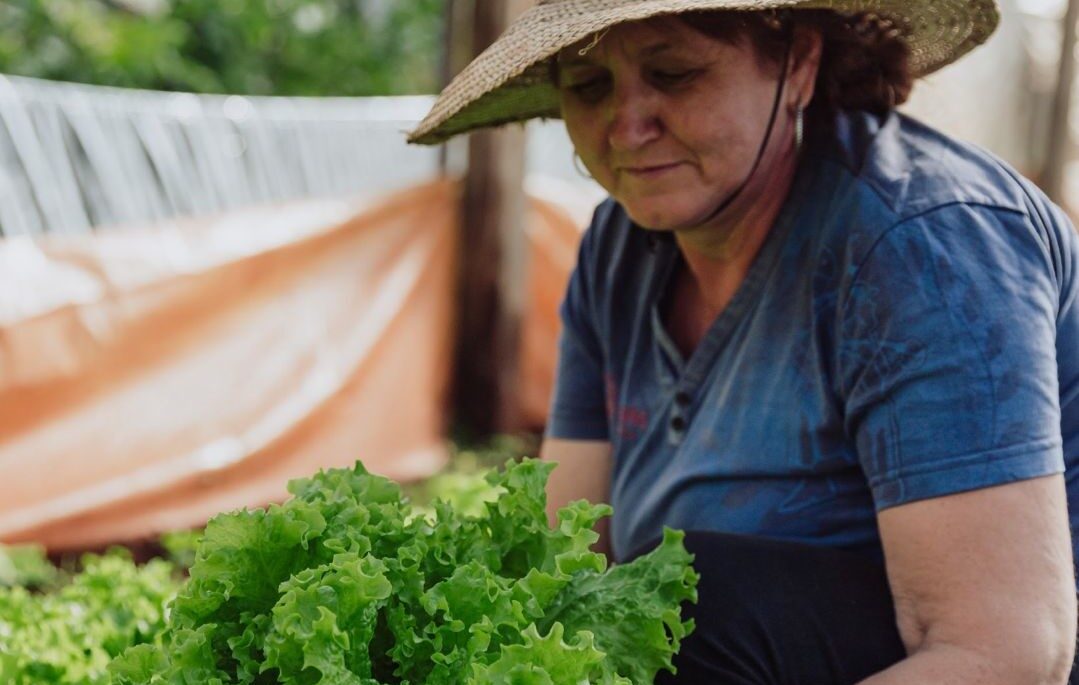 Continúan las inscripciones para el certificado de productor primario ...