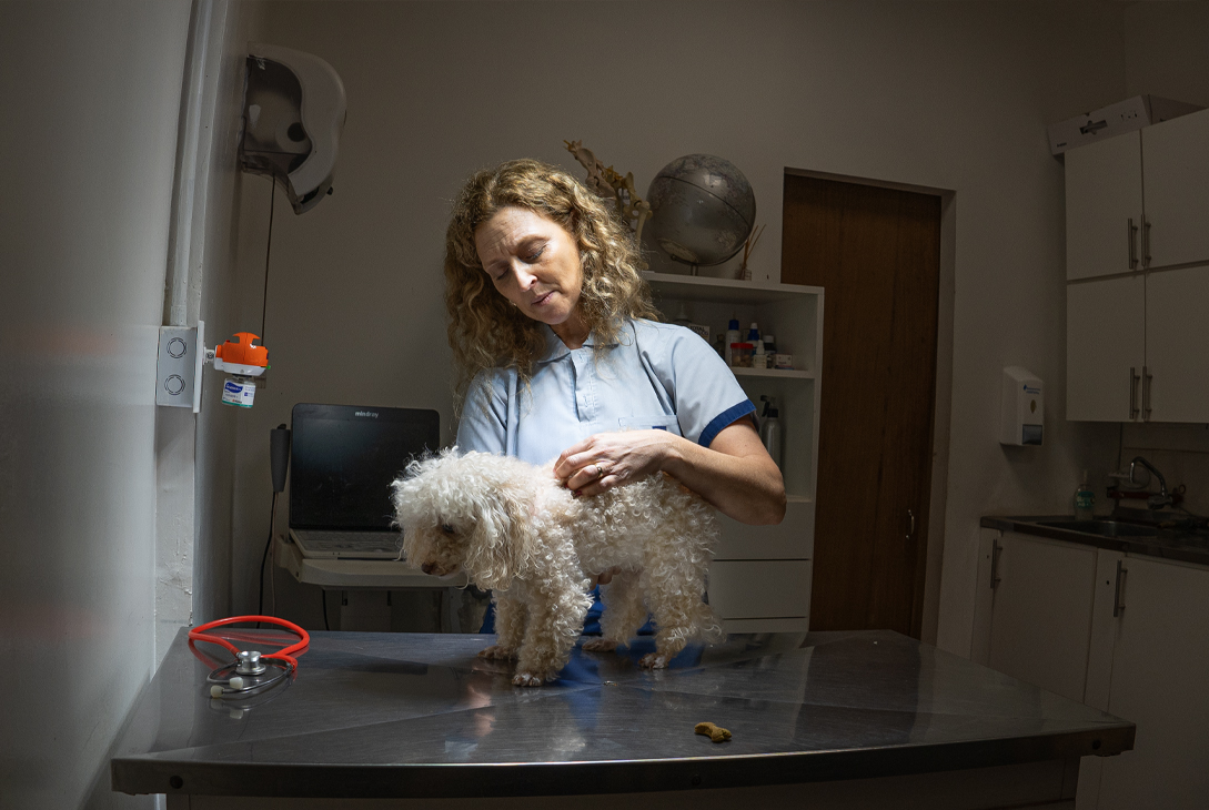 Cómo entender el comportamiento animal a través de la psicología ...