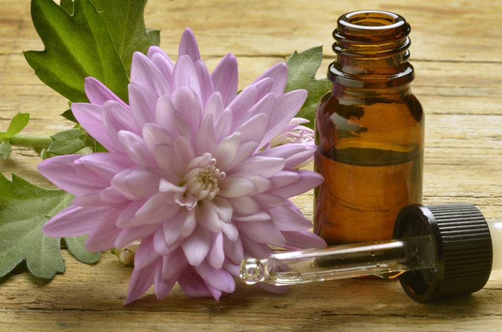 Flores misioneras: descubrí esta novedosa terapia natural - Canal Doce ...