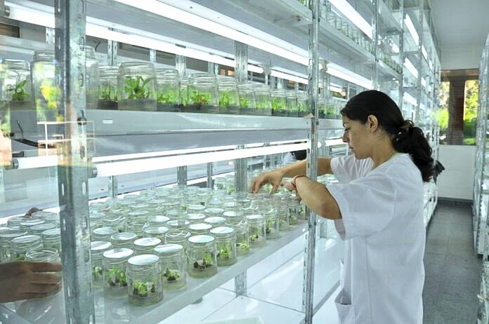 Estudiantes y profesionales destacaron la formación de Biofábrica