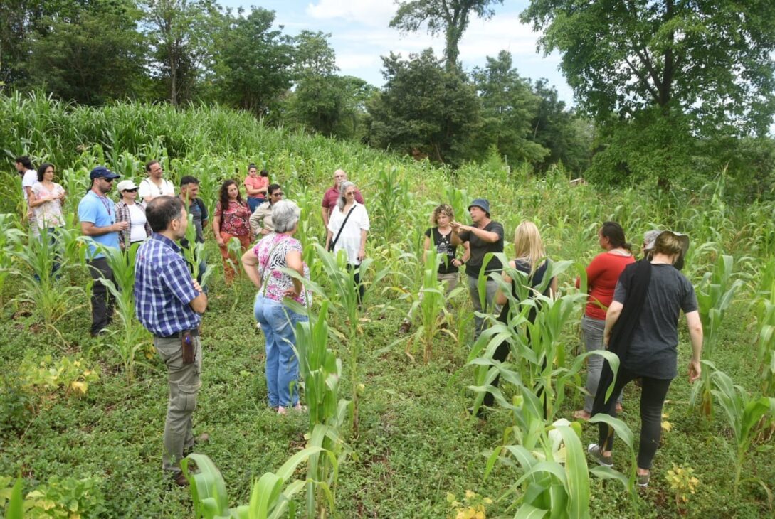 Misiones impulsa el futuro verde con chacras agroecológicas