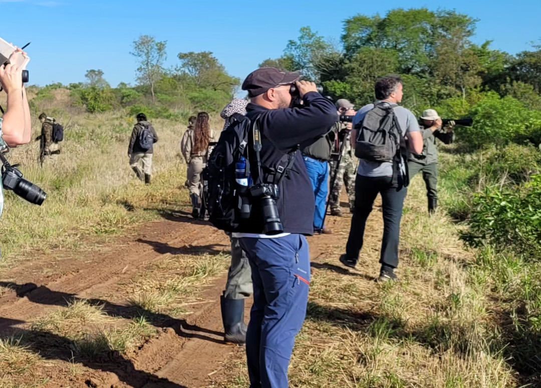 Campo San Juan convoca a avistar aves en el Global Big Day