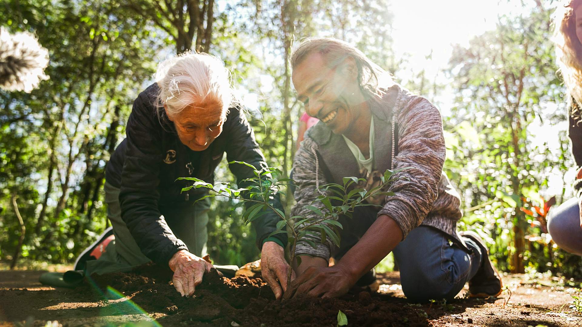 Jasy Porá, la comunidad mbyá clave en la conservación de la selva