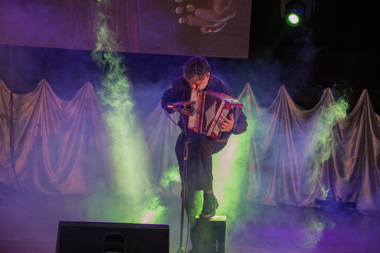 Oberá celebra el 31° Festival Provincial de la Verdulera - Canal Doce ...