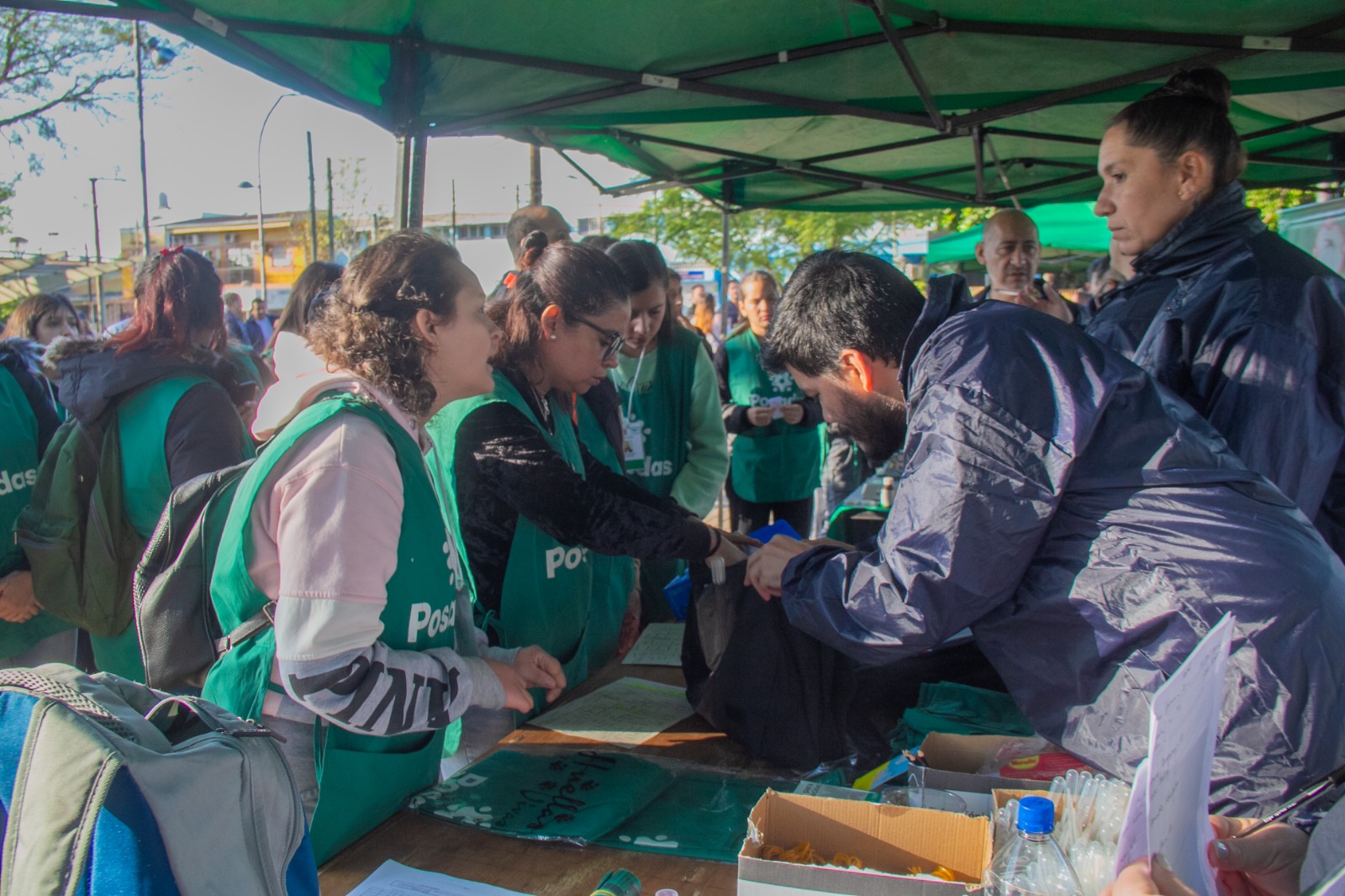 Operativo LIRAa: 7 de cada 100 casas visitadas tienen criaderos de ...