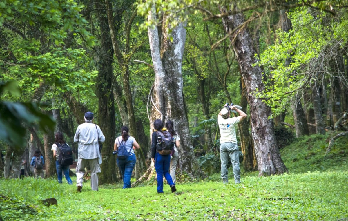 Ecoturismo: tras una jornada de avistaje en Loreto, registraron más de ...