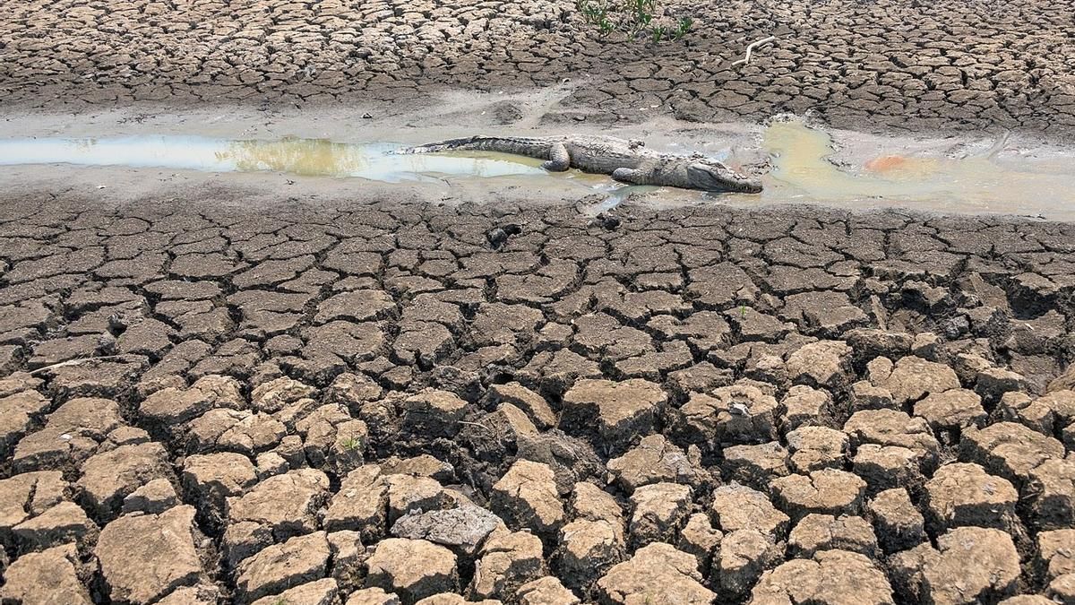 Brasil enfrenta la peor sequía de su historia - Canal Doce Misiones