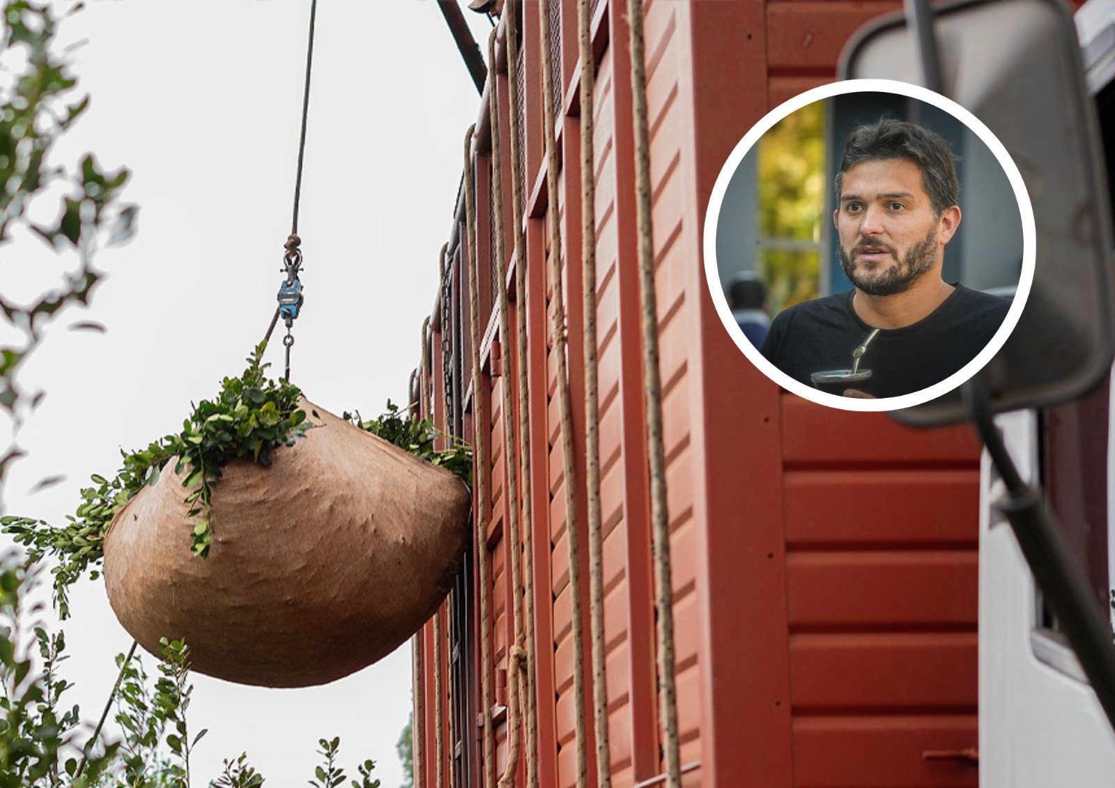 Yerba mate: Agro y productores se encaminan a fijar en $390 el precio ...