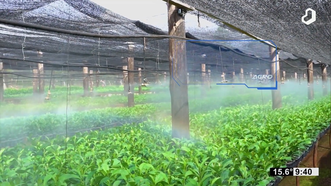 Chacras multiproductivas: una nueva etapa para el campo