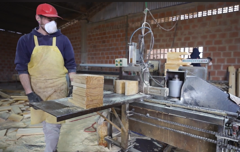 En Puerto Leoni, una empresa familiar aprovecha el 95% del pino para la ...